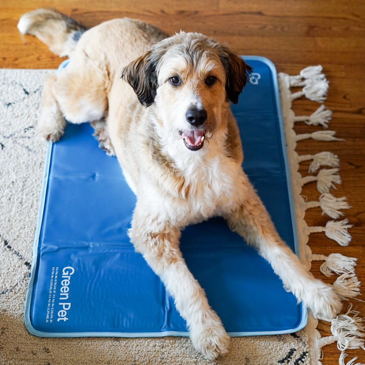 Green Pet Shop Cool Pet Pad - Pressure-Activated Cooling Mat for Dogs ...