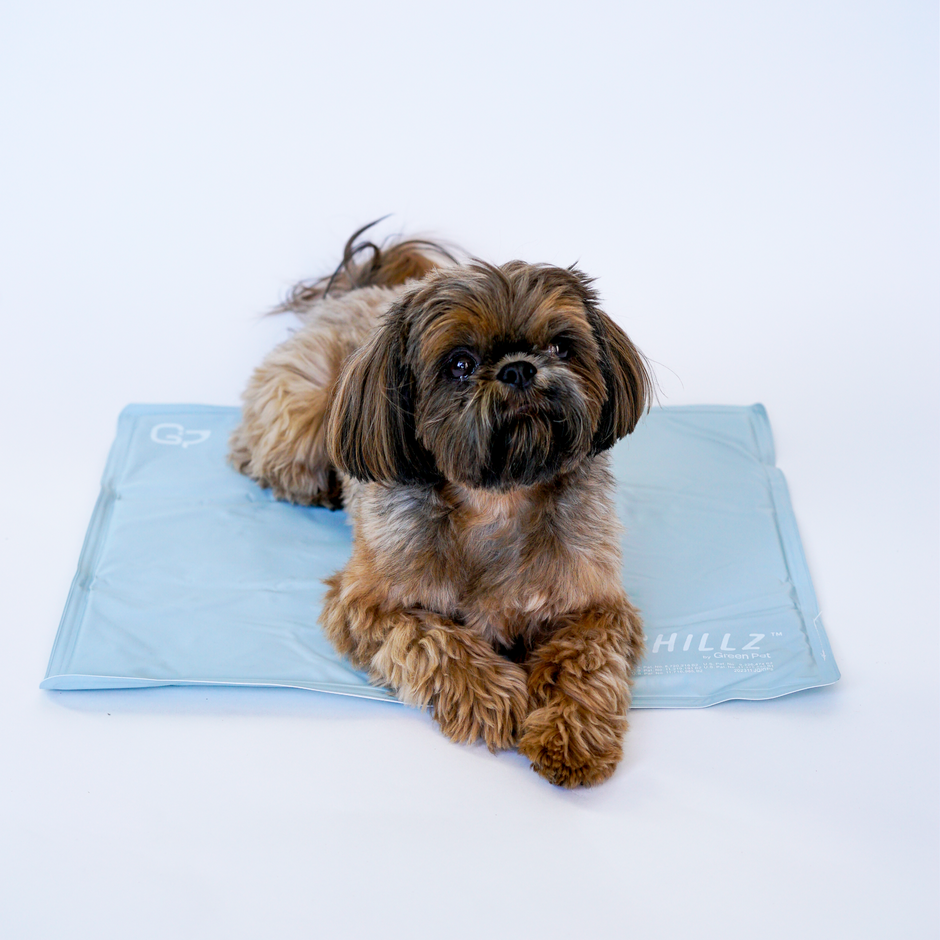 PRODUCTS | Green Pet