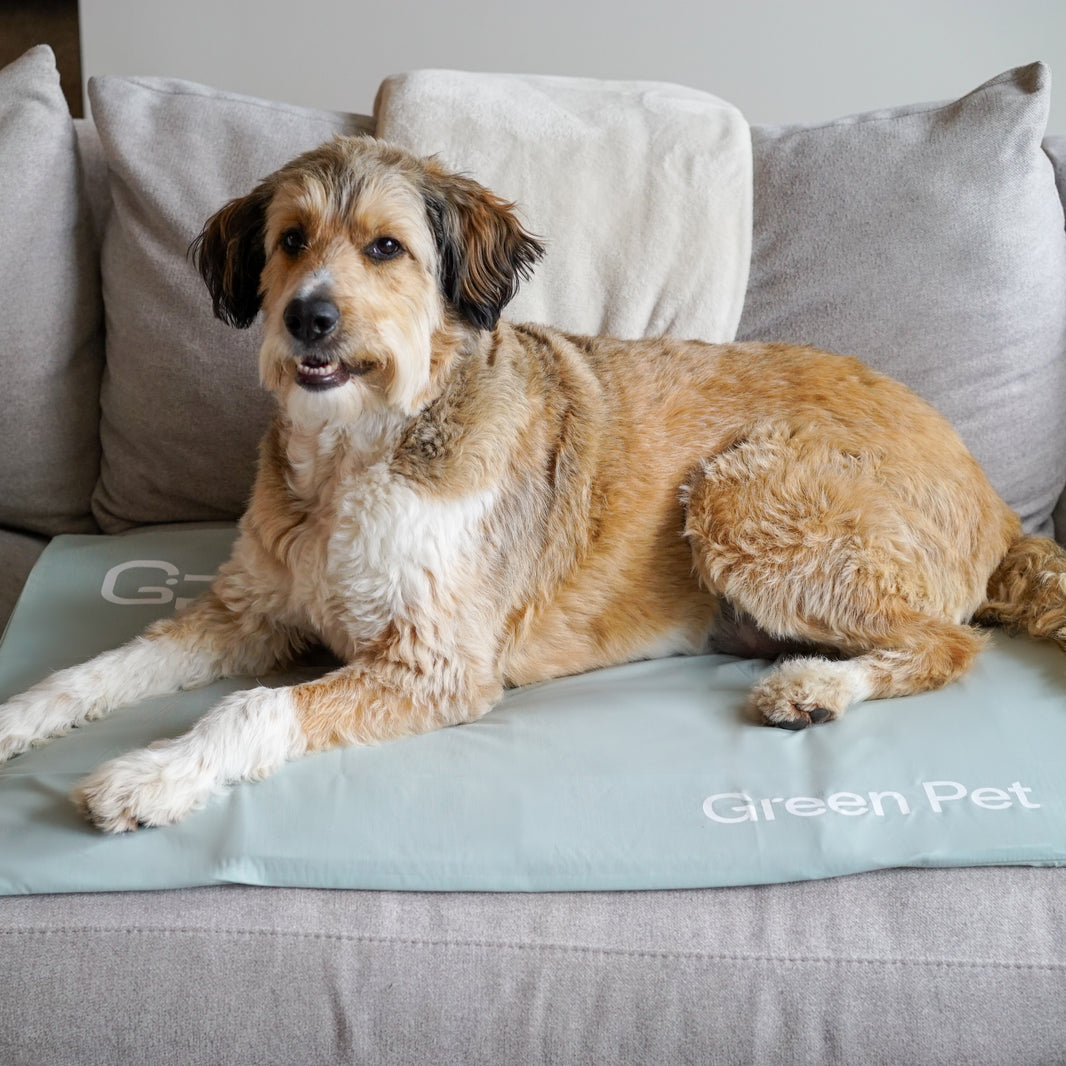 PRODUCTS | Green Pet