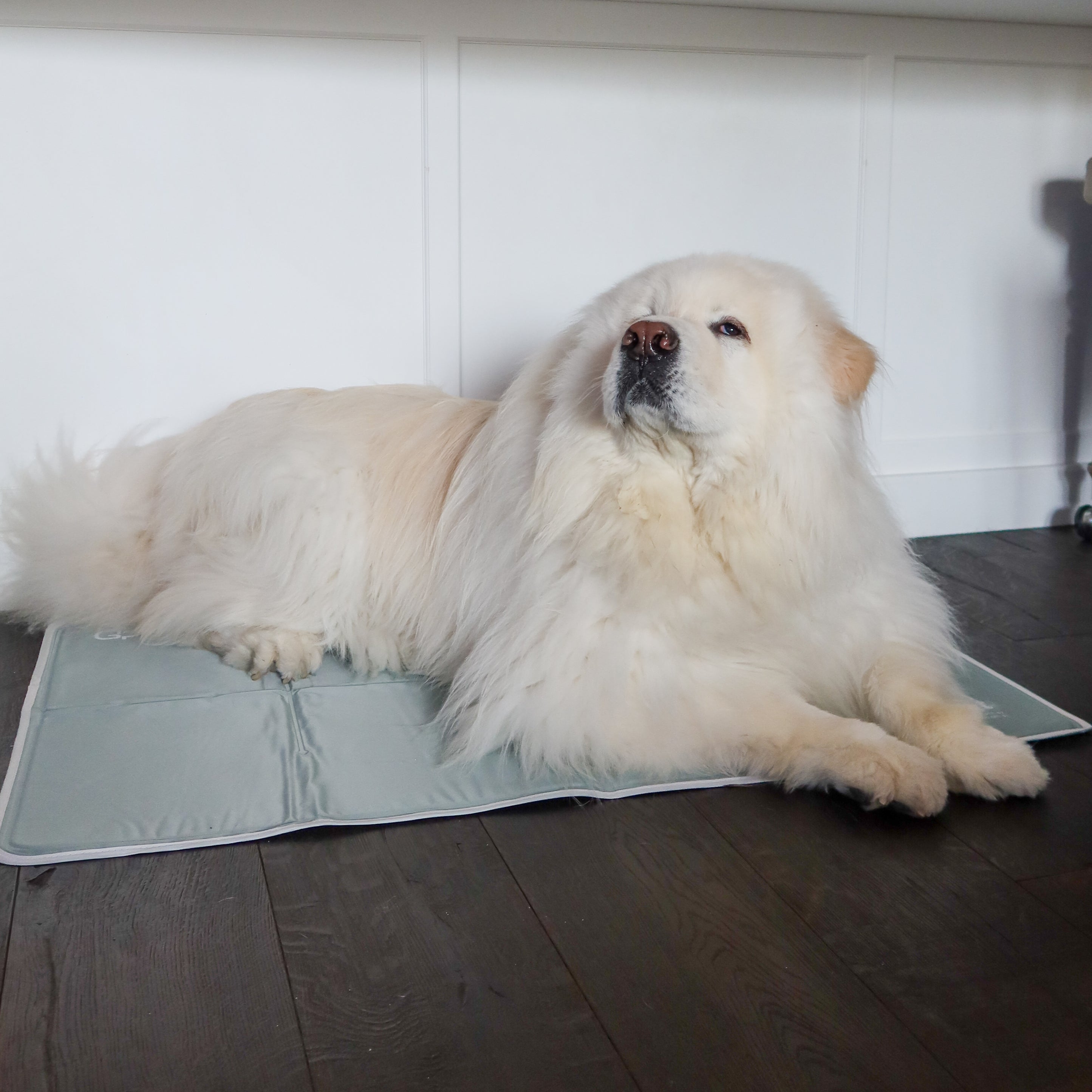 Green Pet Shop Cool Pet Pad - Pressure-Activated Cooling Mat for Dogs ...