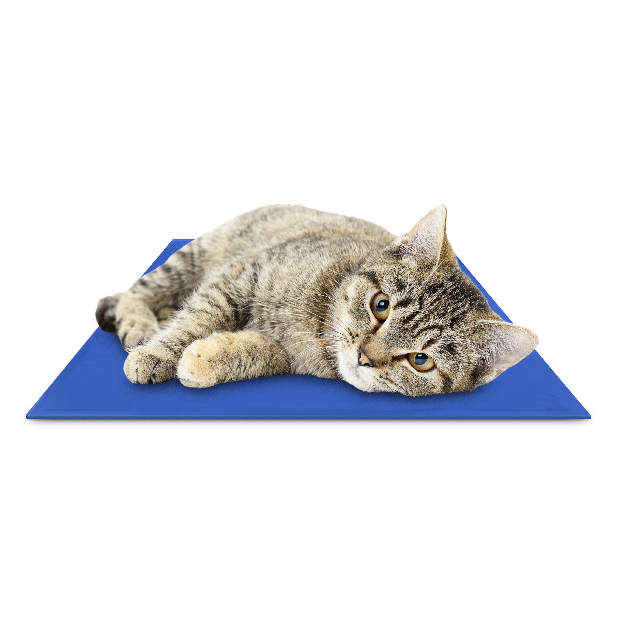 Chillz Gel Mat | Chillz Pet Cooling Mat | Green Pet