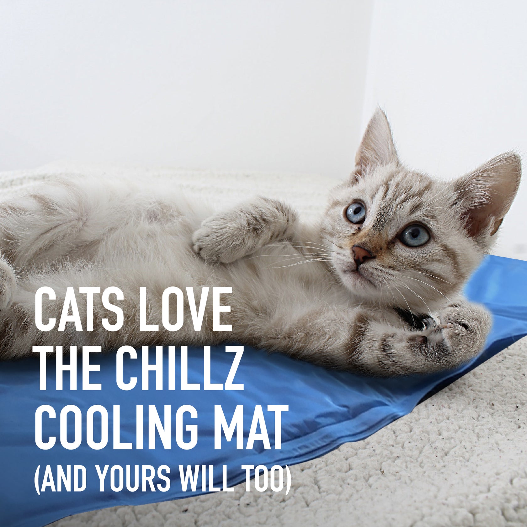 Chillz Gel Mat | Chillz Pet Cooling Mat | Green Pet